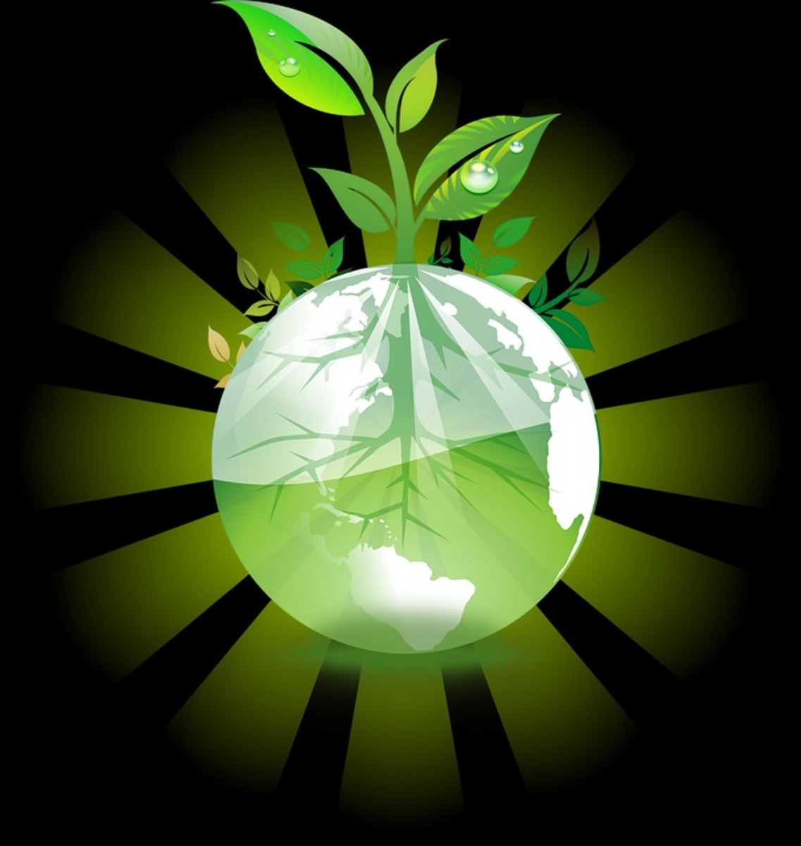 El ecologismo, cada vez más presente en el marketing de las empresas ...